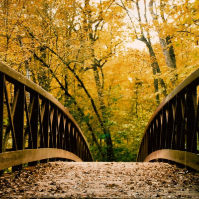 Home - Visit Little Falls