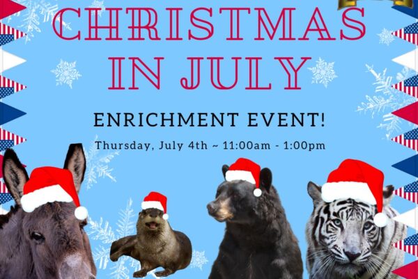 Home - Visit Little Falls